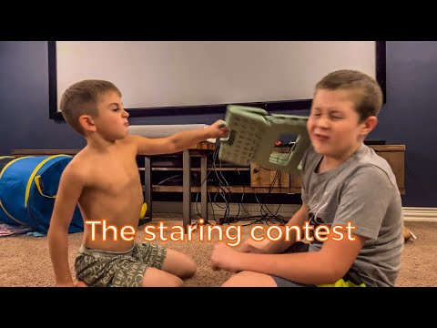 The staring contest#funny #staringcontest - YouTube