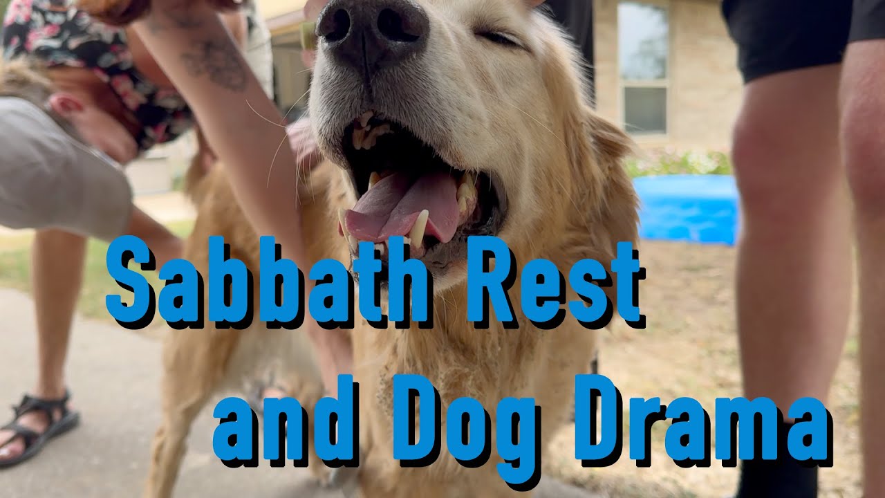 Sabbath Rest, Dog Drama, and Back-to-School Blessings - YouTube