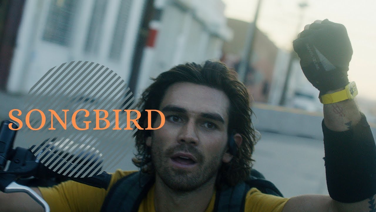 Songbird explained**WATCH AND SHARE** - YouTube