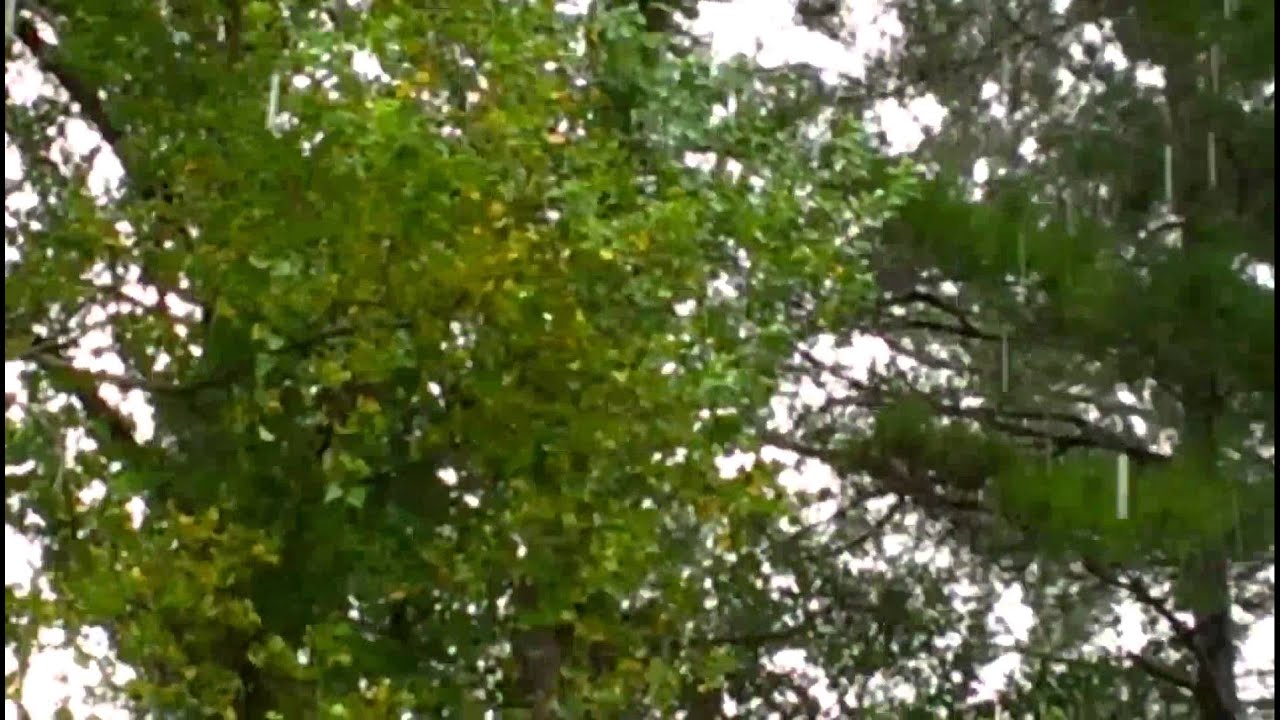 WEATHER CHANNEL MOBILE AL - YouTube