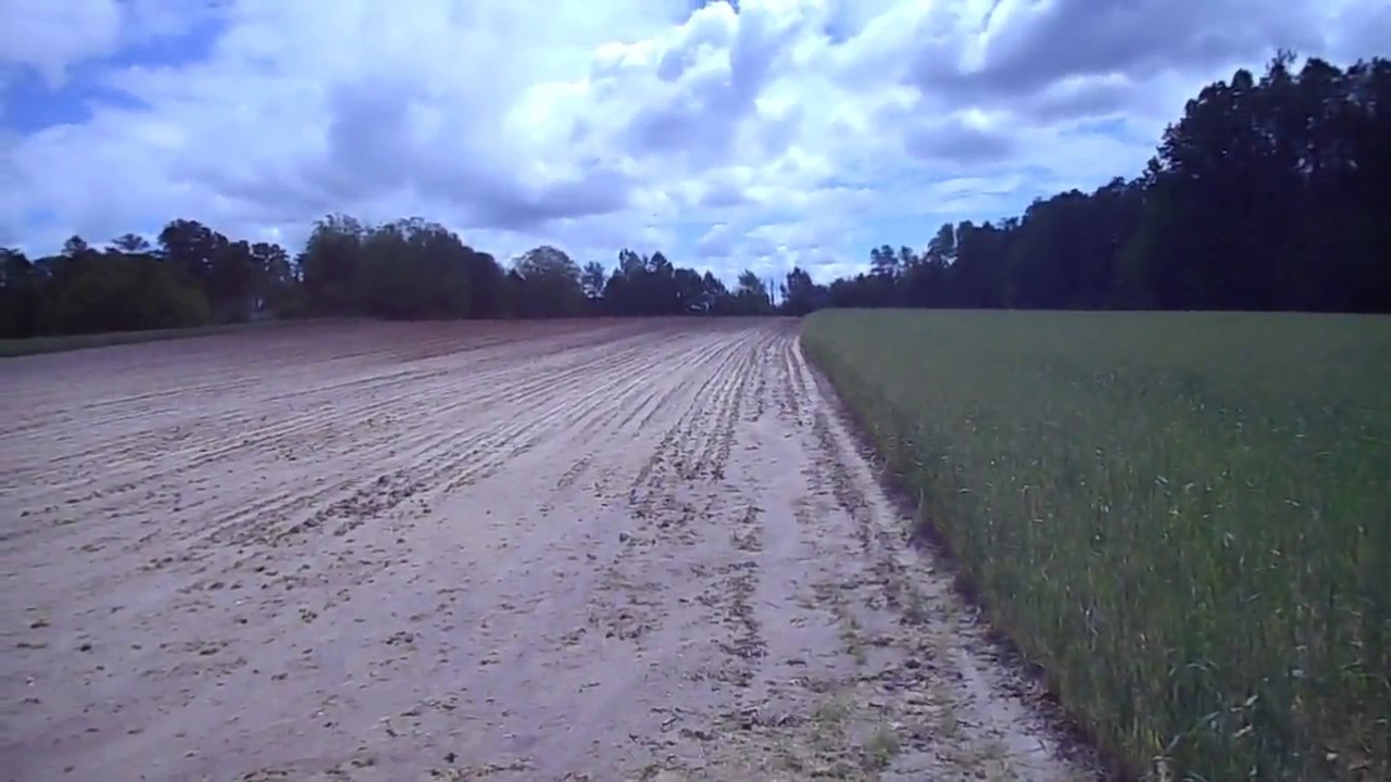 The Deluge an inundation of water - YouTube