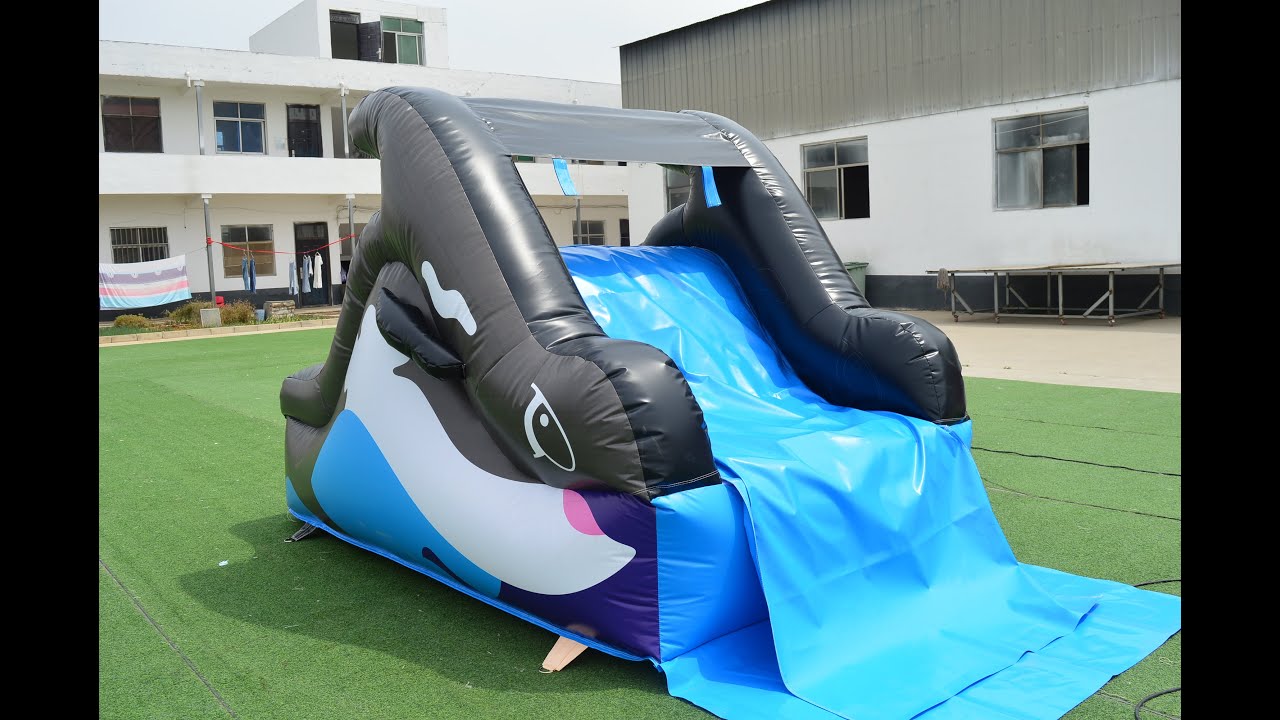Dolphin Slide - YouTube