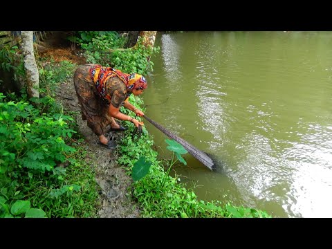 Beautiful Net Fishing In Village (Part-3) || Amazon Fishing