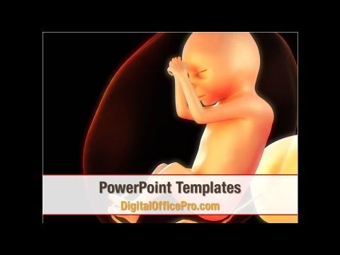 Fetus PowerPoint Template Backgrounds - DigitalOfficePro #06851 - YouTube
