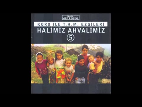 dost eline gidem turnam (Official Audıo)