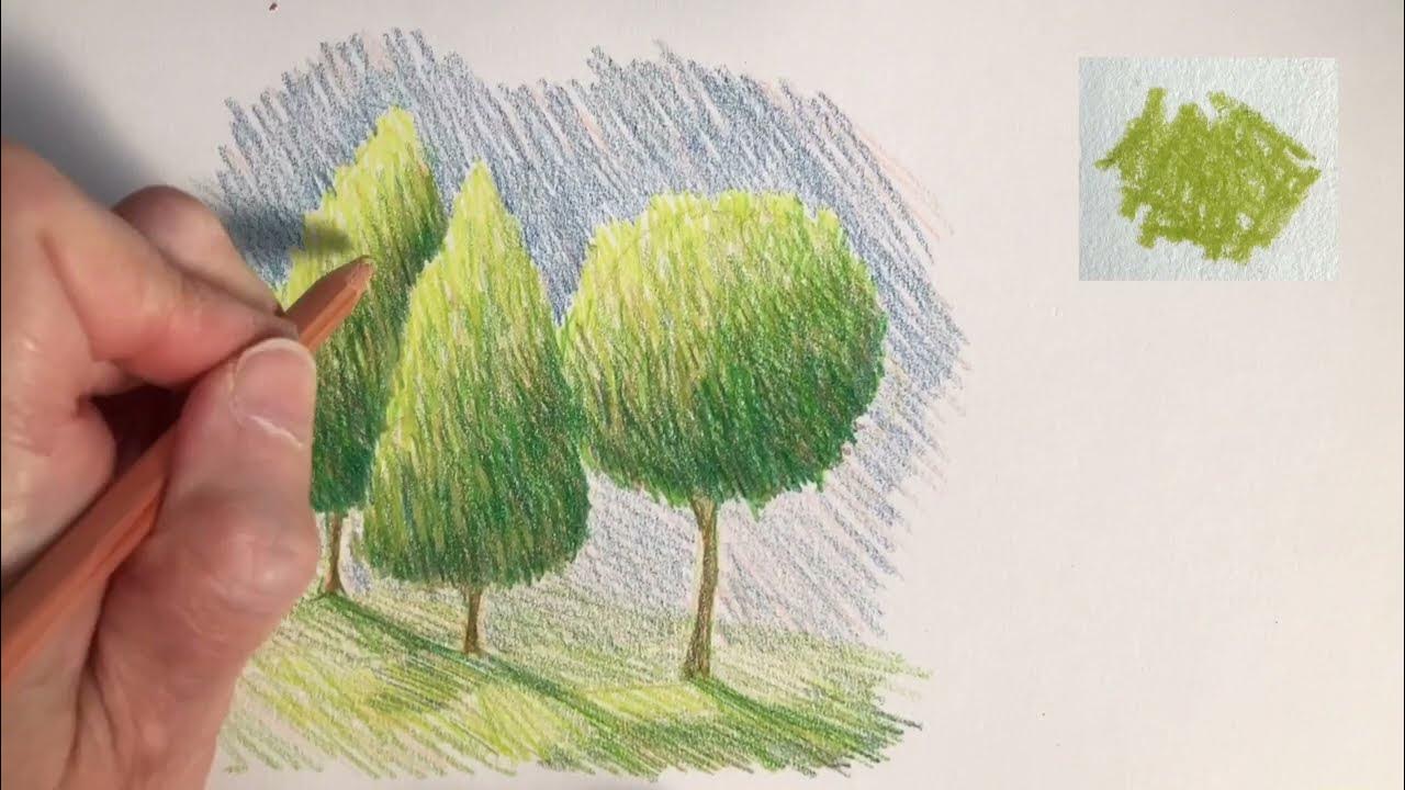 Simple Coloured Pencil Drawing: Trees - YouTube