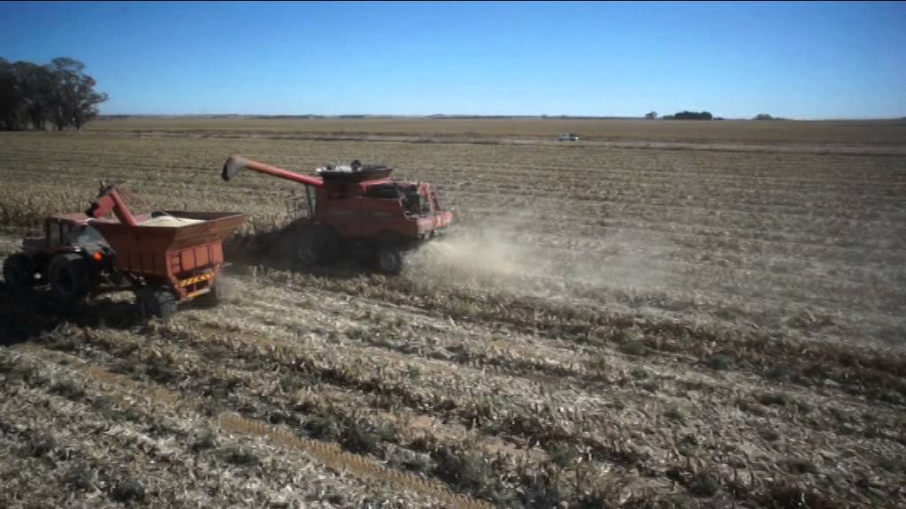 BRT Boerdery Harvest 2014 - YouTube