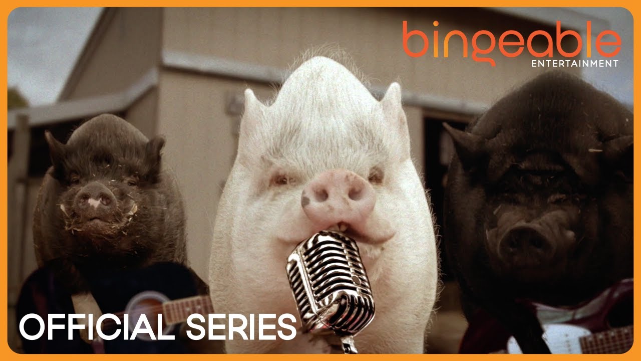 The Real Pigs of Norfolk County | Episode 7 - YouTube