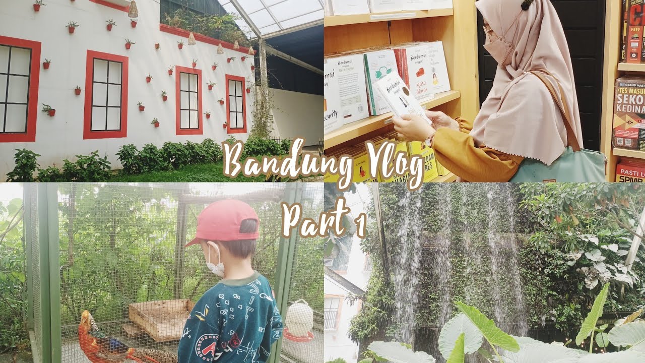 Bandung Vlog Part 1 🌼 : PVJ Mall Bandung, Gramedia, Miniso, Mini Zoo 🐦🐑 ...