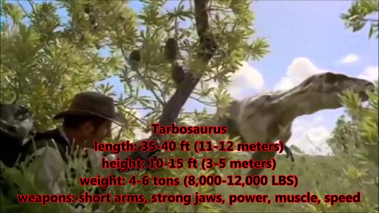 Prehistoric Fight Club Episode 19: Tarbosaurus vs Acrocanthosaurus ...