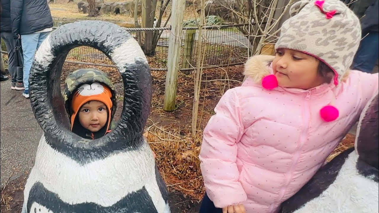 Family Walking time at Erie Zoo : March 2nd 2024 - YouTube