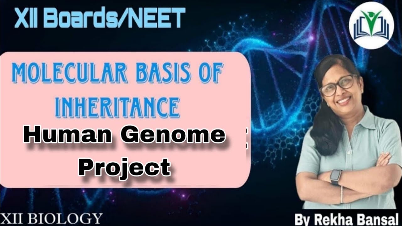 Chapter 5/ Molecular basis of Inheritance/ Human Genome Project - YouTube