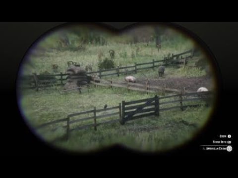 Red Dead Redemption 2 - RDR2 - Pigs - BERKSHIRE PIG - BIG CHINA PIG ...