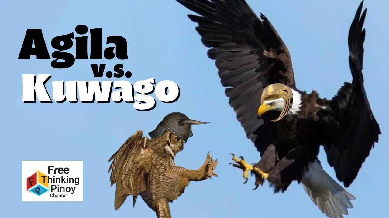 OWL VS. EAGLE | Tagisan ng Agila at Kuwago Sino Ang Mananalo? - YouTube