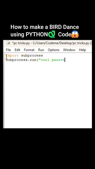 How to Make a Bird Dance Using Python Code🕊️😱 #shorts #pythontricks #pythonprogramming - YouTube