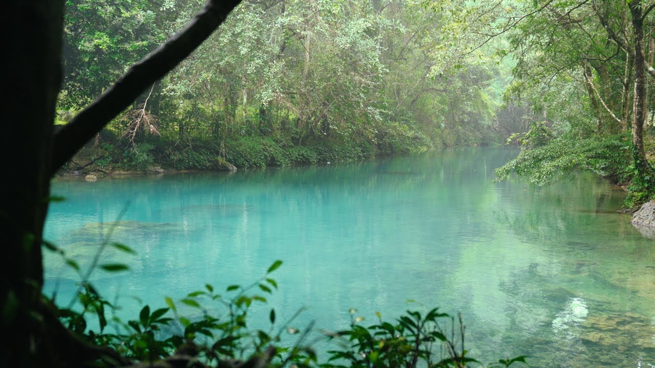 4K Still Turquoise Water in a Dense Forest - YouTube
