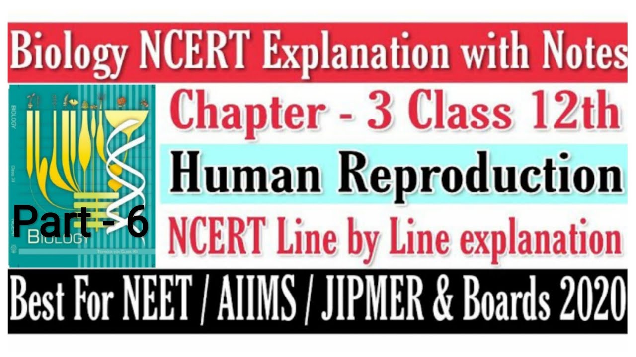 NEET 2023 Biology Human reproduction class 12 Biology NCERT complete ...
