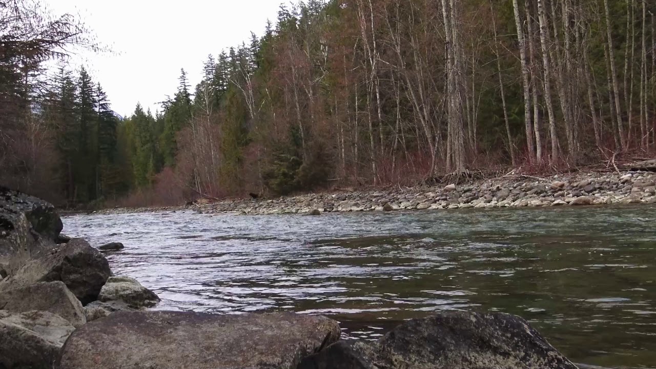 A Couple Hours On the Birkenhead River - YouTube