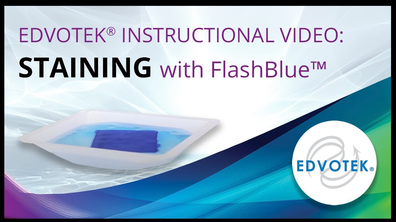 FlashBlue™ - Edvotek Video Tutorial - YouTube