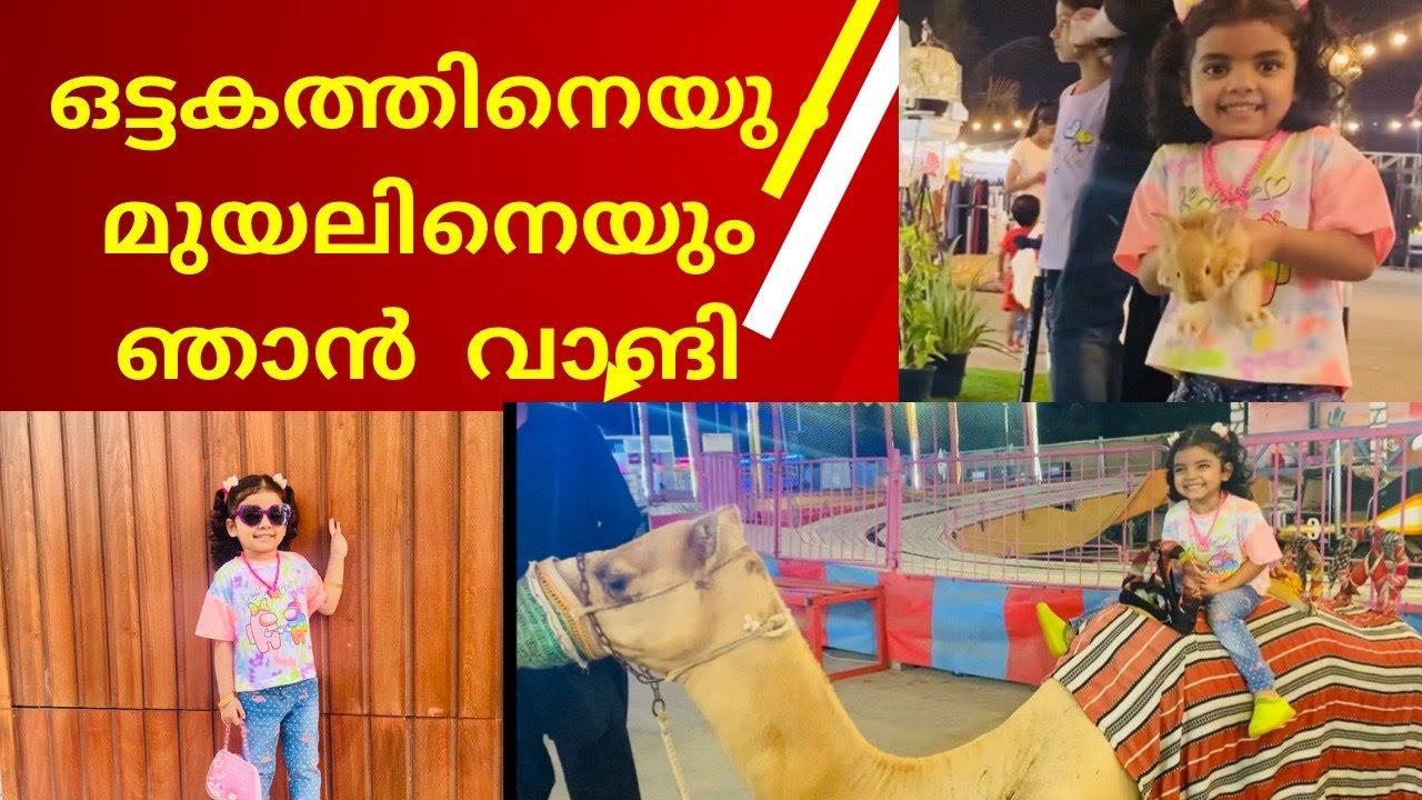 ഈ ഒട്ടകവും മുയലും എന്റെ സ്വന്തം- (camel and rabbit very cute )-#animals ...