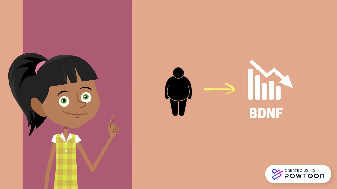 Você sabe o que é BDNF? - YouTube