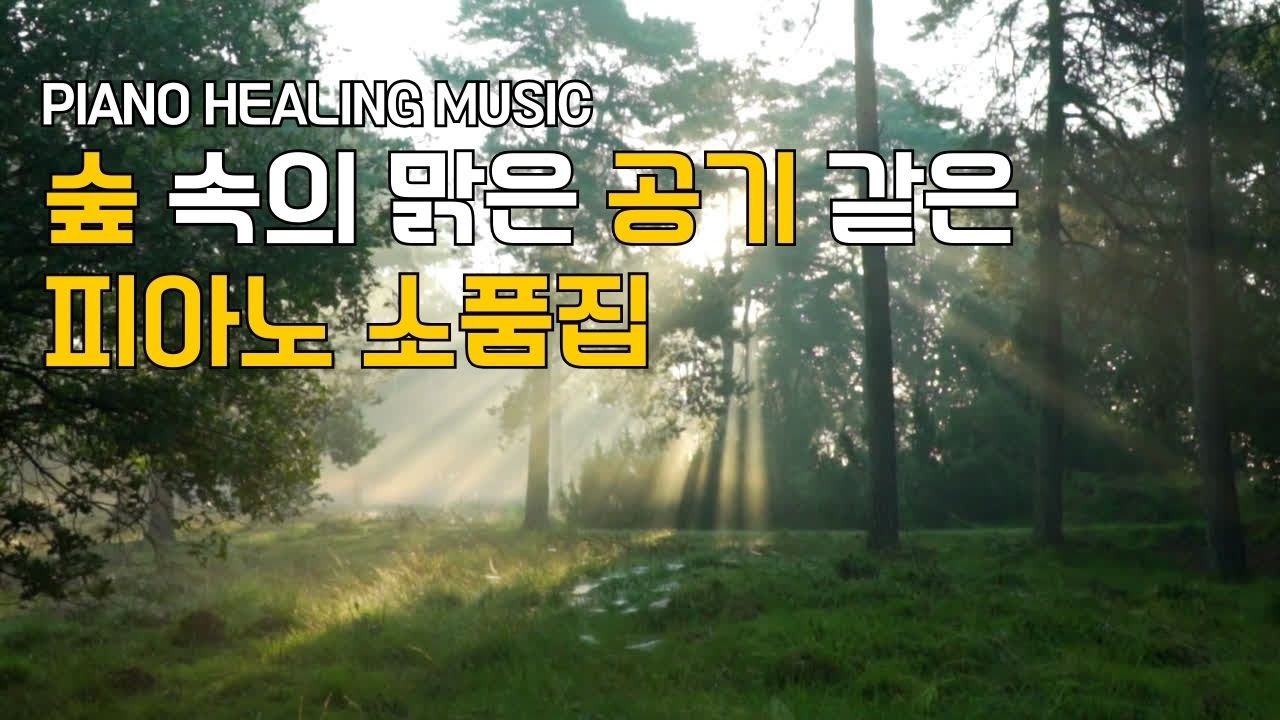 피아노연속듣기 숲 속의 맑은 공기 같은 힐링음악🏔️몸과 마음을 치유하는음악 카페음악불면증에좋은음악수면음악우울증 치료음악