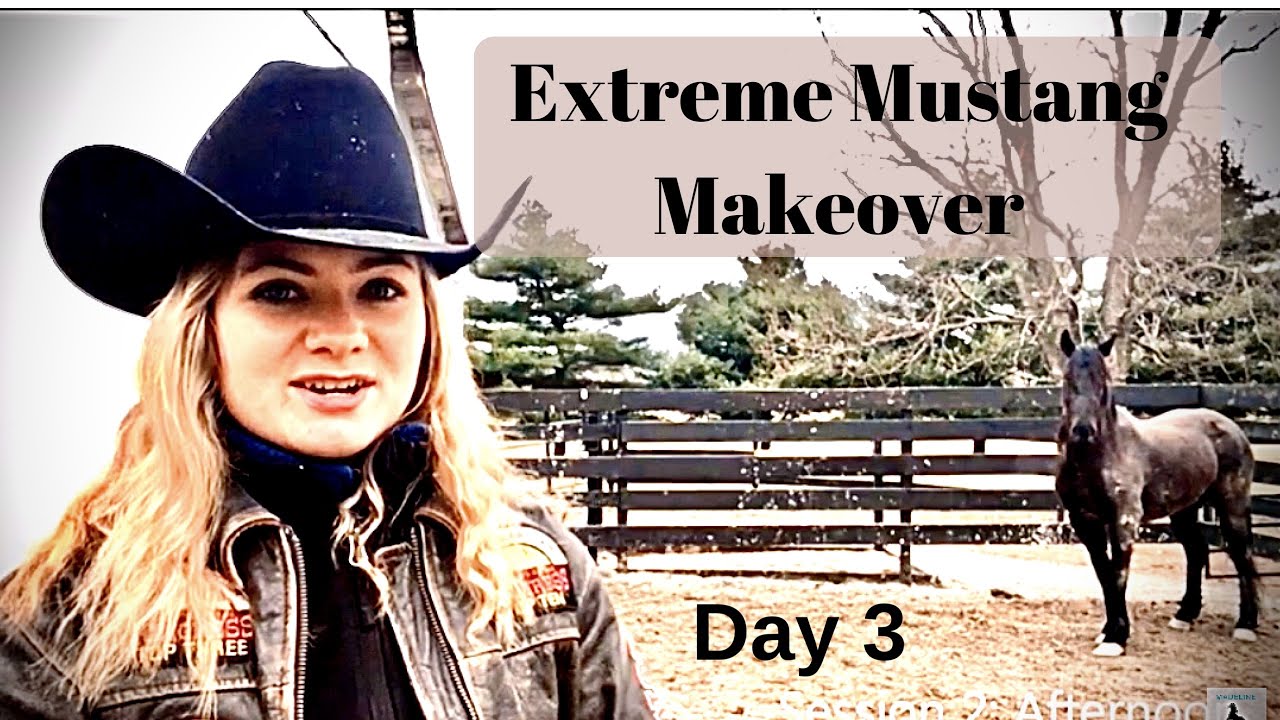 Day 3 2020 Extreme Mustang Makeover - YouTube