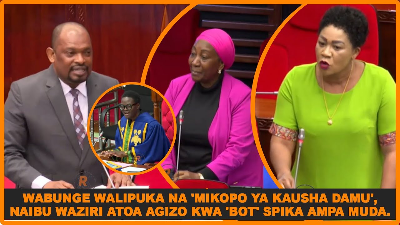 WABUNGE WALIPUKA NA 'MIKOPO YA KAUSHA DAMU',NAIBU WAZIRI ATOA AGIZO KWA ...