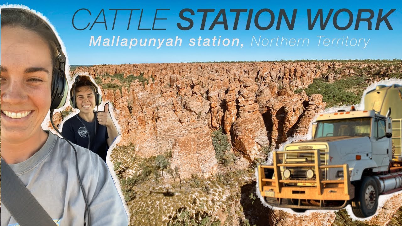 NT STATION WORK - experiencing living and working on a NT cattle ...
