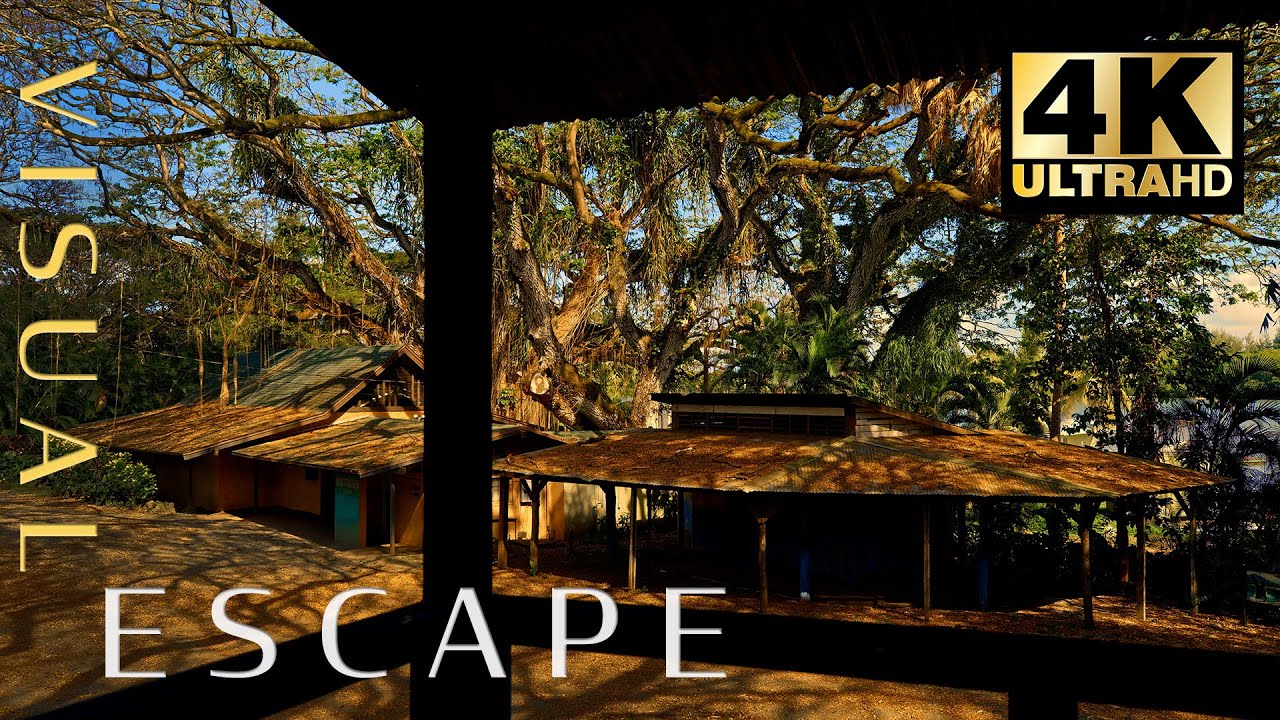 Calming Island Nature Sounds Near Sunset For 7 Hours | 4K - YouTube