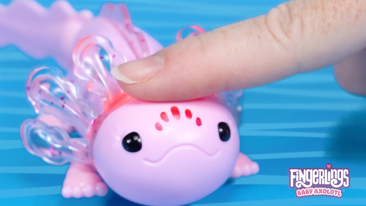 Fingerlings Baby Axolotl - How to Play in & out of the water - YouTube