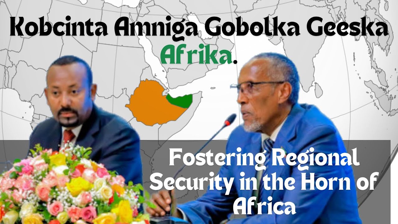 Kobcinta Amniga Gobolka Geeska Afrika. - YouTube