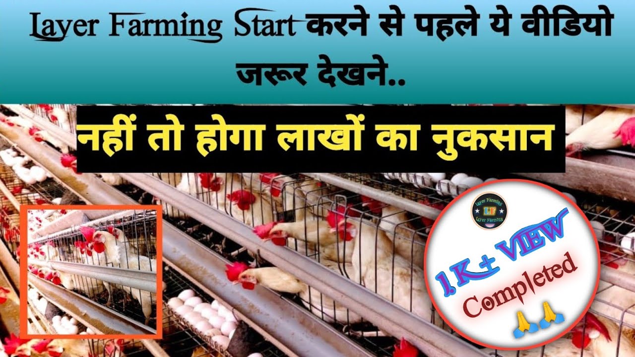 Layer Farming Start करने से पहले ये वीडियो जरूर देखें // Layer Farming ...