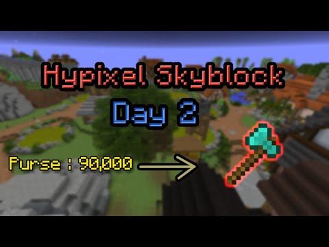 Flipping To AOTS then giving it away - Hypixel Skyblock (Day 2) - YouTube