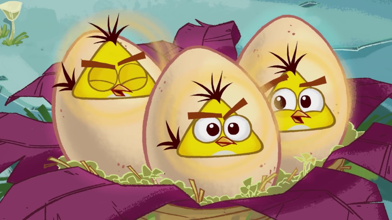 ANGRY BIRD TOONS SESSION 1 EPS 1 - 13 COMPILATION - YouTube