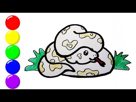 How To Draw and Color a Snake | Cara Menggambar dan Mewarnai Ular - YouTube
