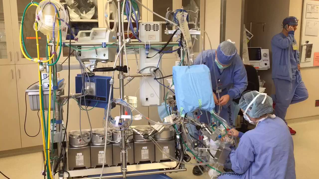 Perfusion bypass circuit set up - YouTube