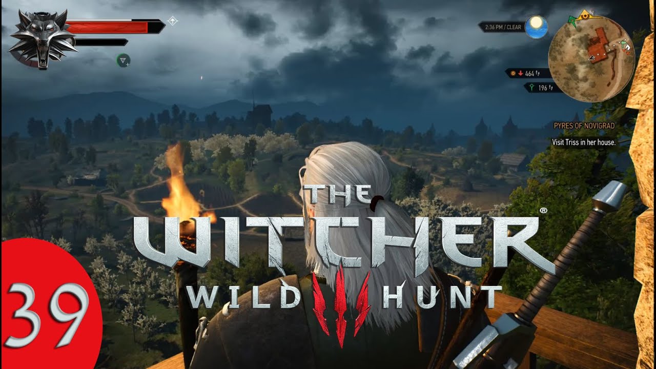 Witcher 3 - Drahim Tower Novigrad (Part 39) - YouTube