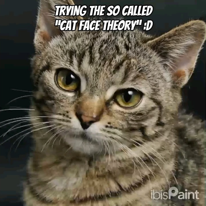 Cat face theory! :D - YouTube