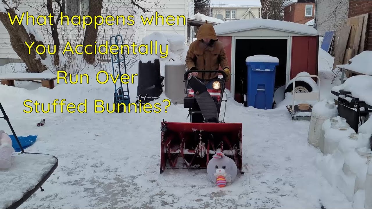 What Happens when you Accidentally Run Over Stuffed Bunnies? - YouTube