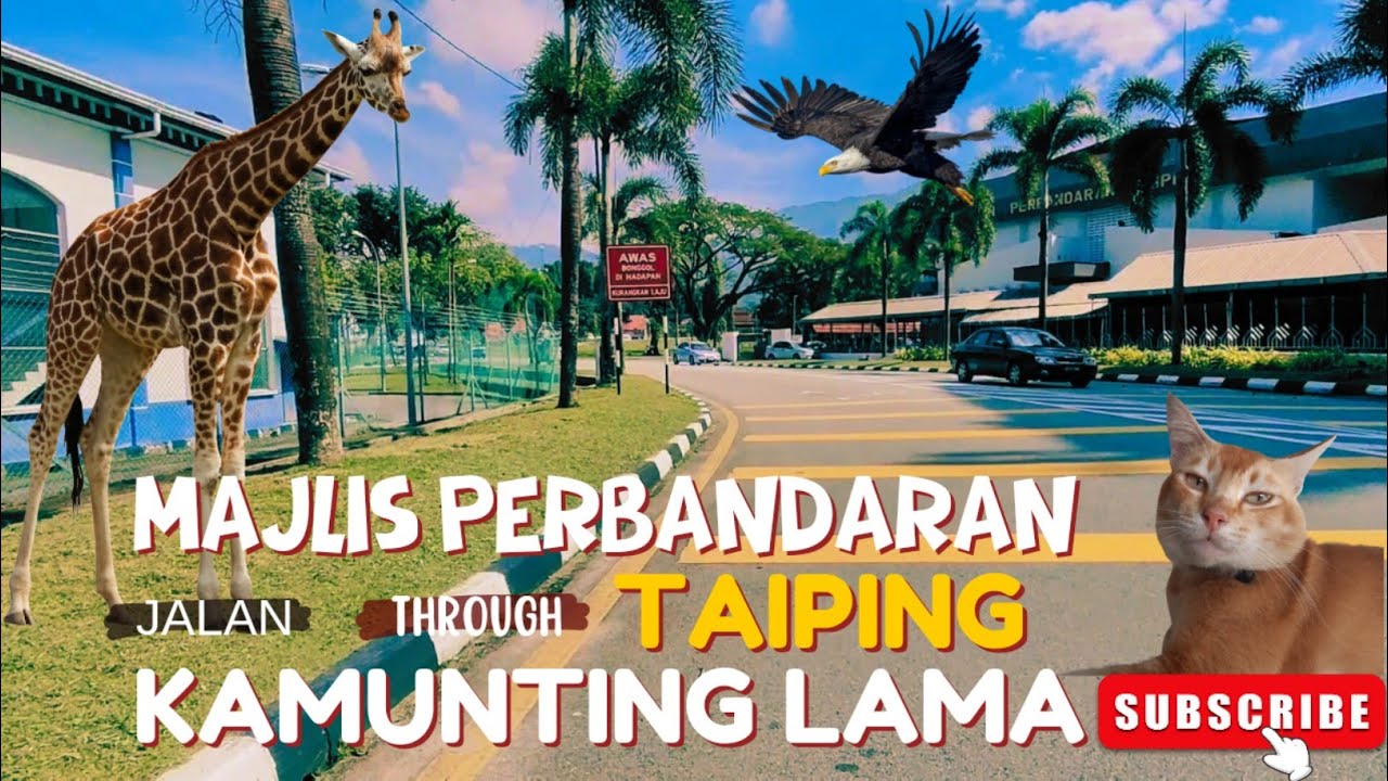 Majlis Perbandaran Taiping | MPT | Through Jalan Kamunting Lama | Perak ...