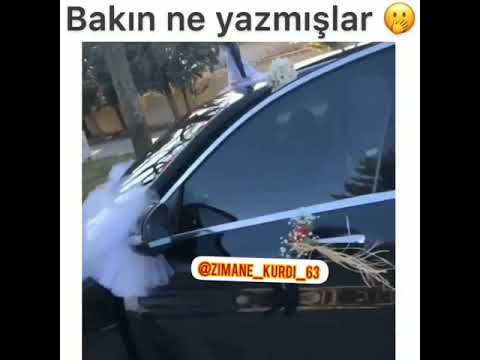 gelin damat arabası yazıları