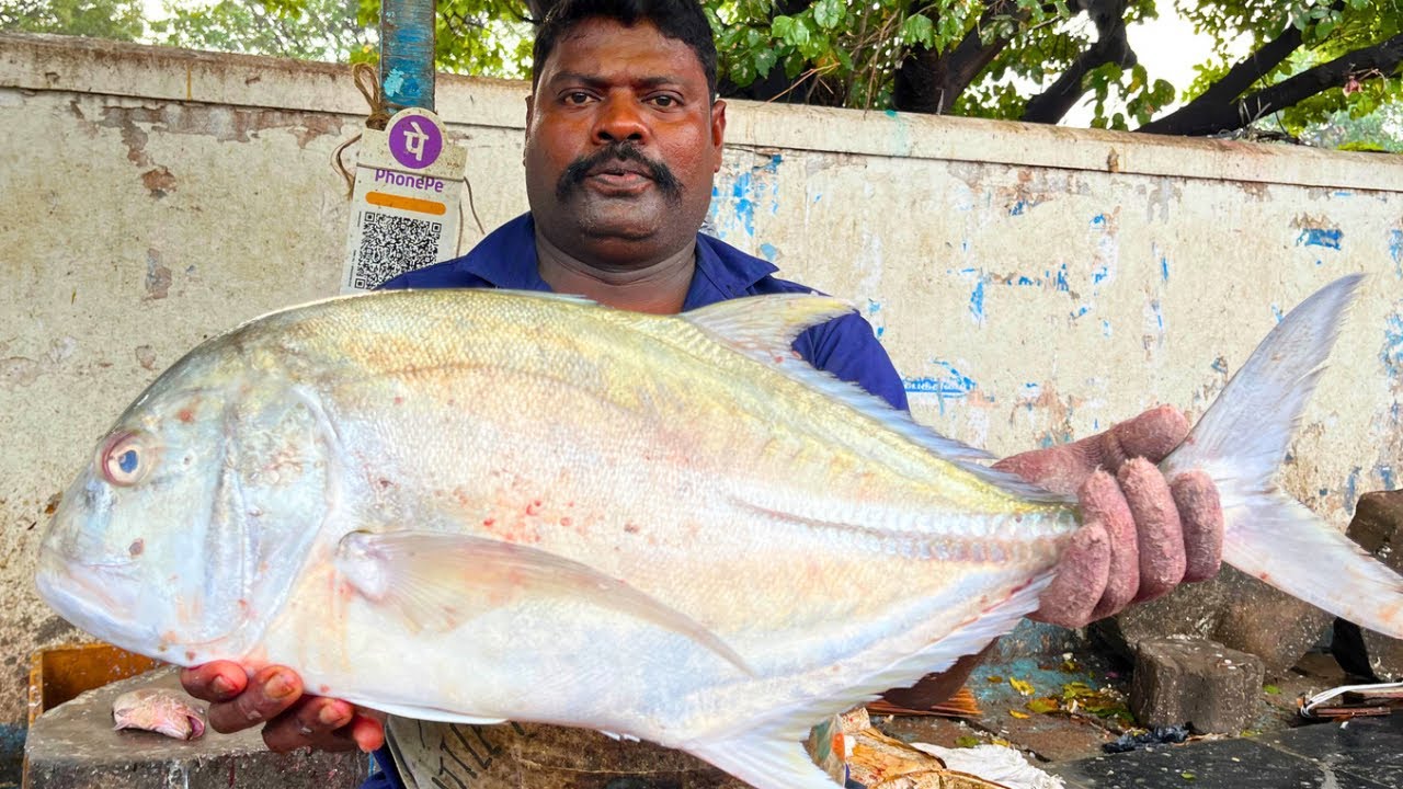 KASIMEDU SELVAM WHITE TREVALLY FISH CUTTING VIDEO | CUTTING SPOT 🔪 ...