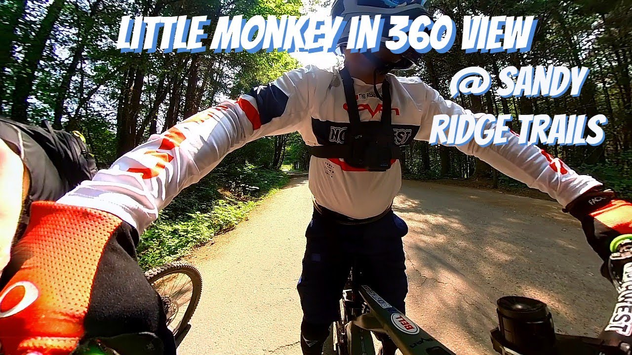 Little Monkey in 360 View - YouTube