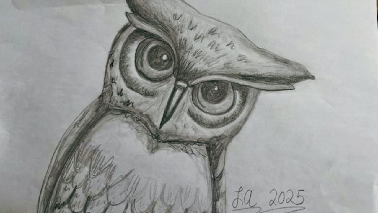 Drawing an Owl (Quick Version) - YouTube