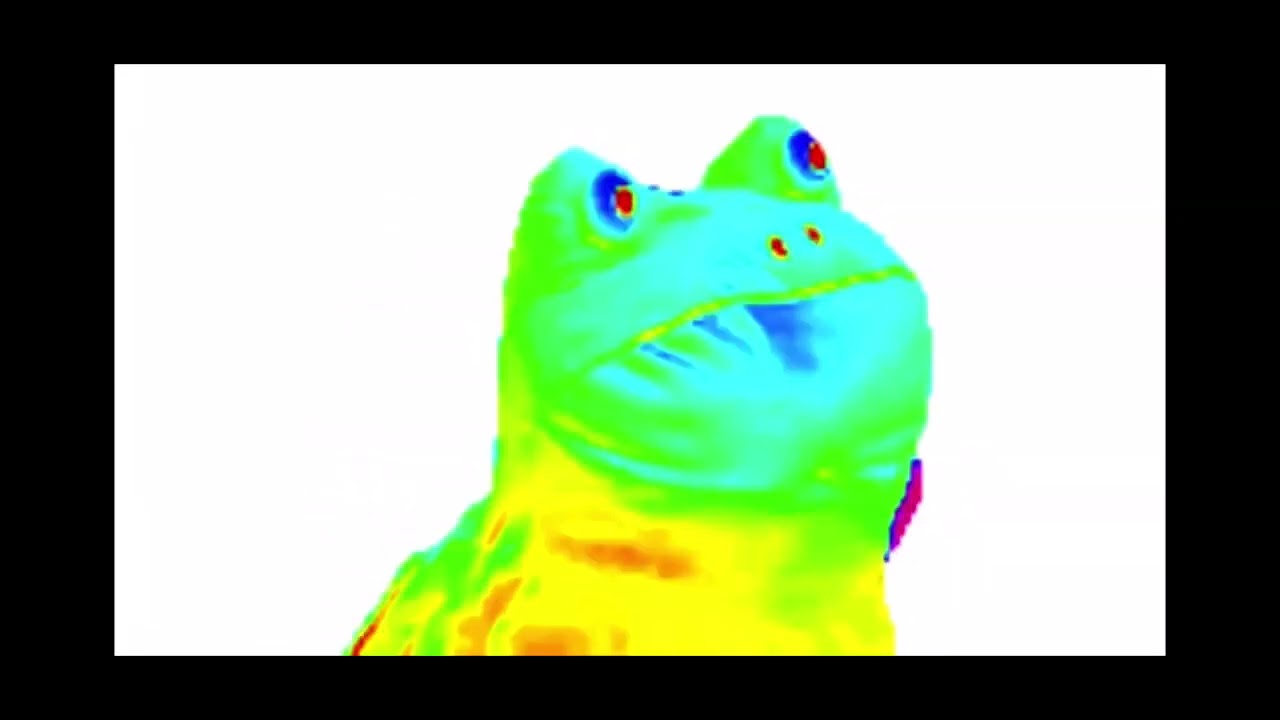 Dancing Frog Meme (Color Changing Stages) - YouTube
