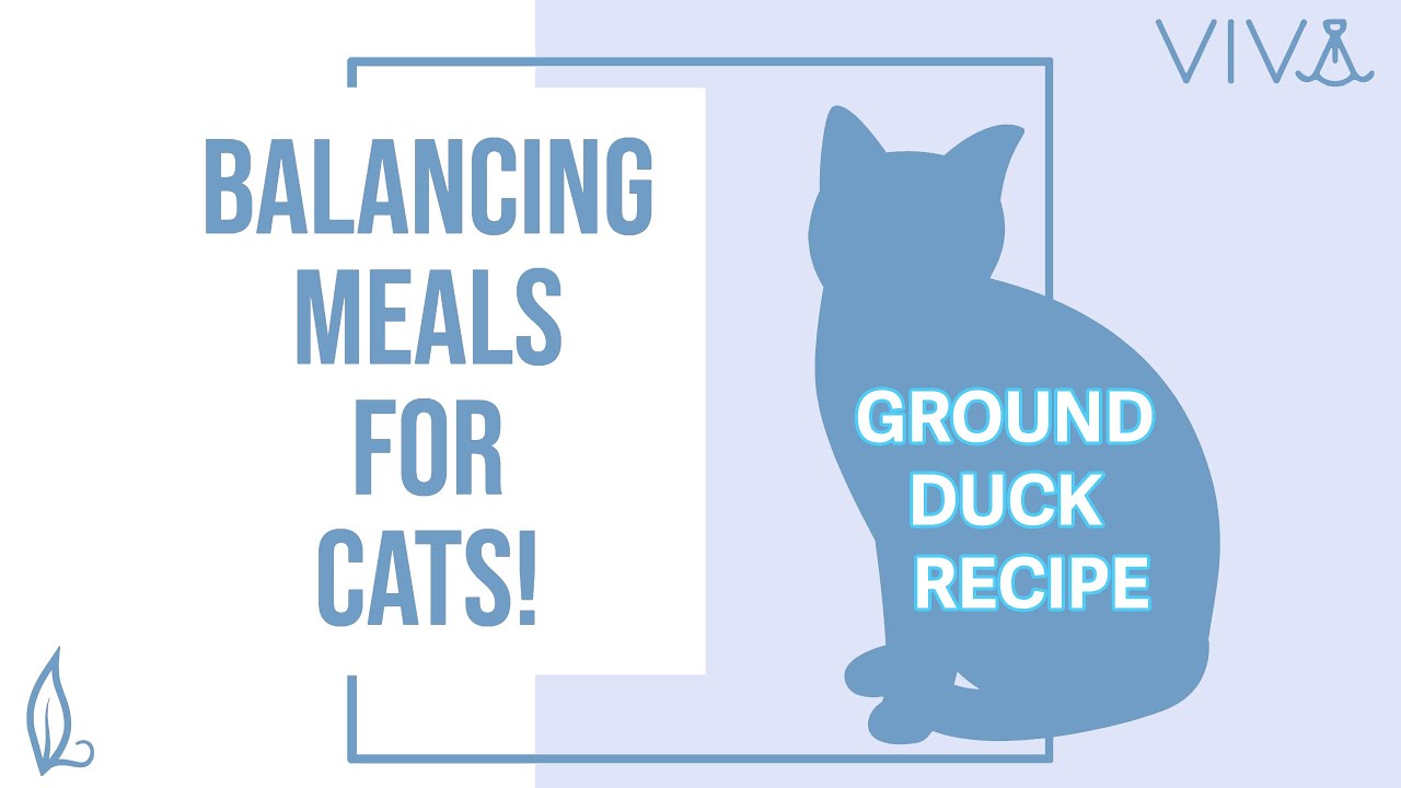 Balancing Viva Raw (Duck) For Cats - YouTube