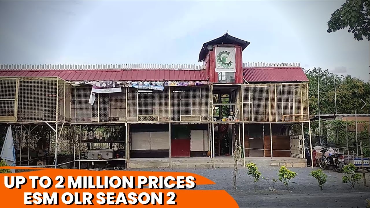 MAY ISYU SA ESM OLR? - YouTube