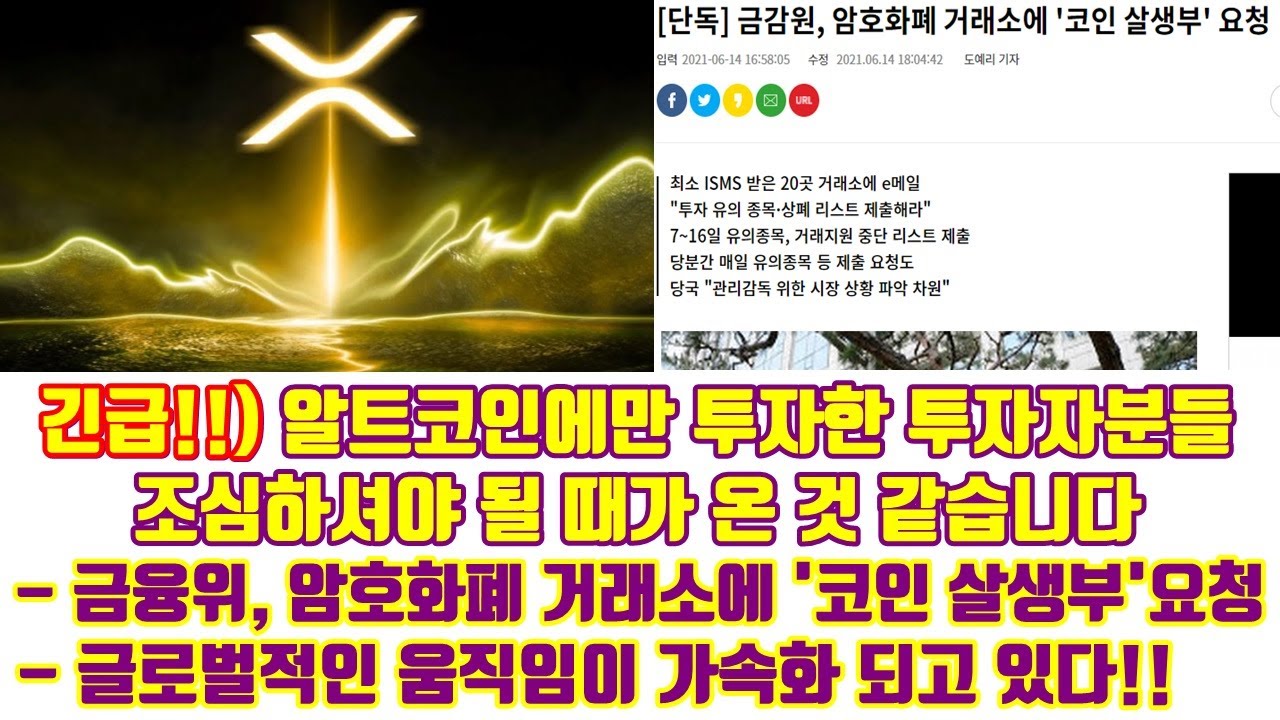리플 비트코인 긴급 알트코인에만 투자한 투자자분들 조심하셔야 될 때가 온 것 같습니다 금융위 암호화폐 거래소에