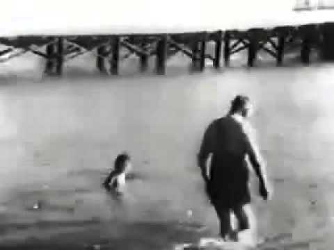 Atatürk ve Ülkü